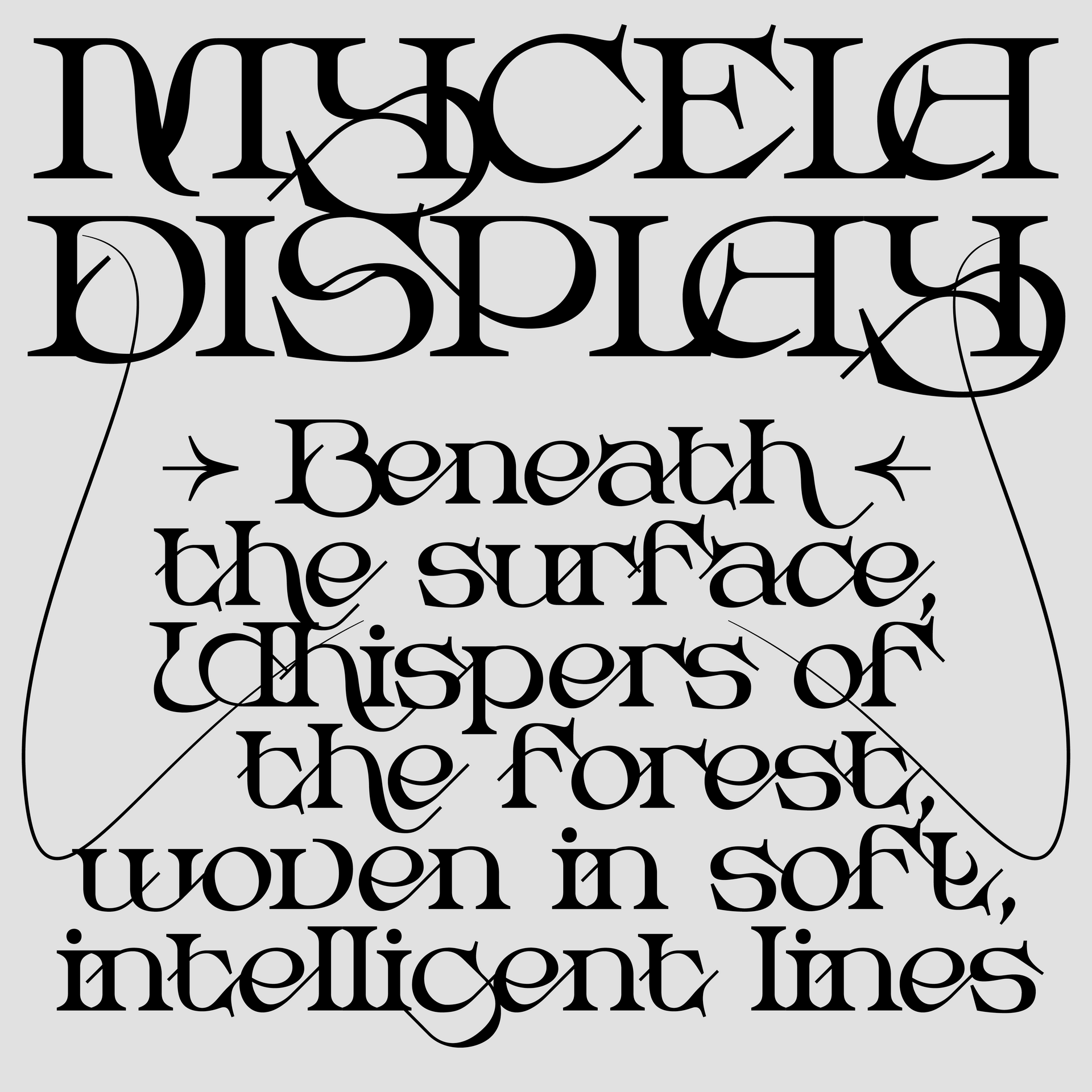 6TM® Magazine – Fonts & Design Resources for Creators