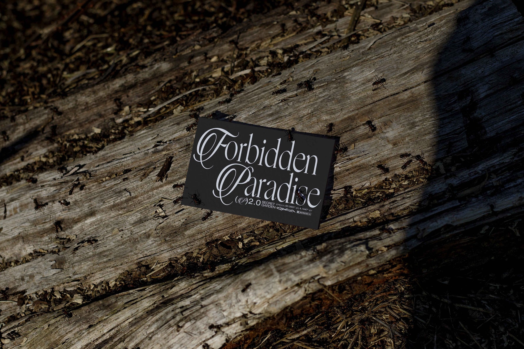Eden Business Card Mockup – Organic & Premium Nature-Inspired Design ...
