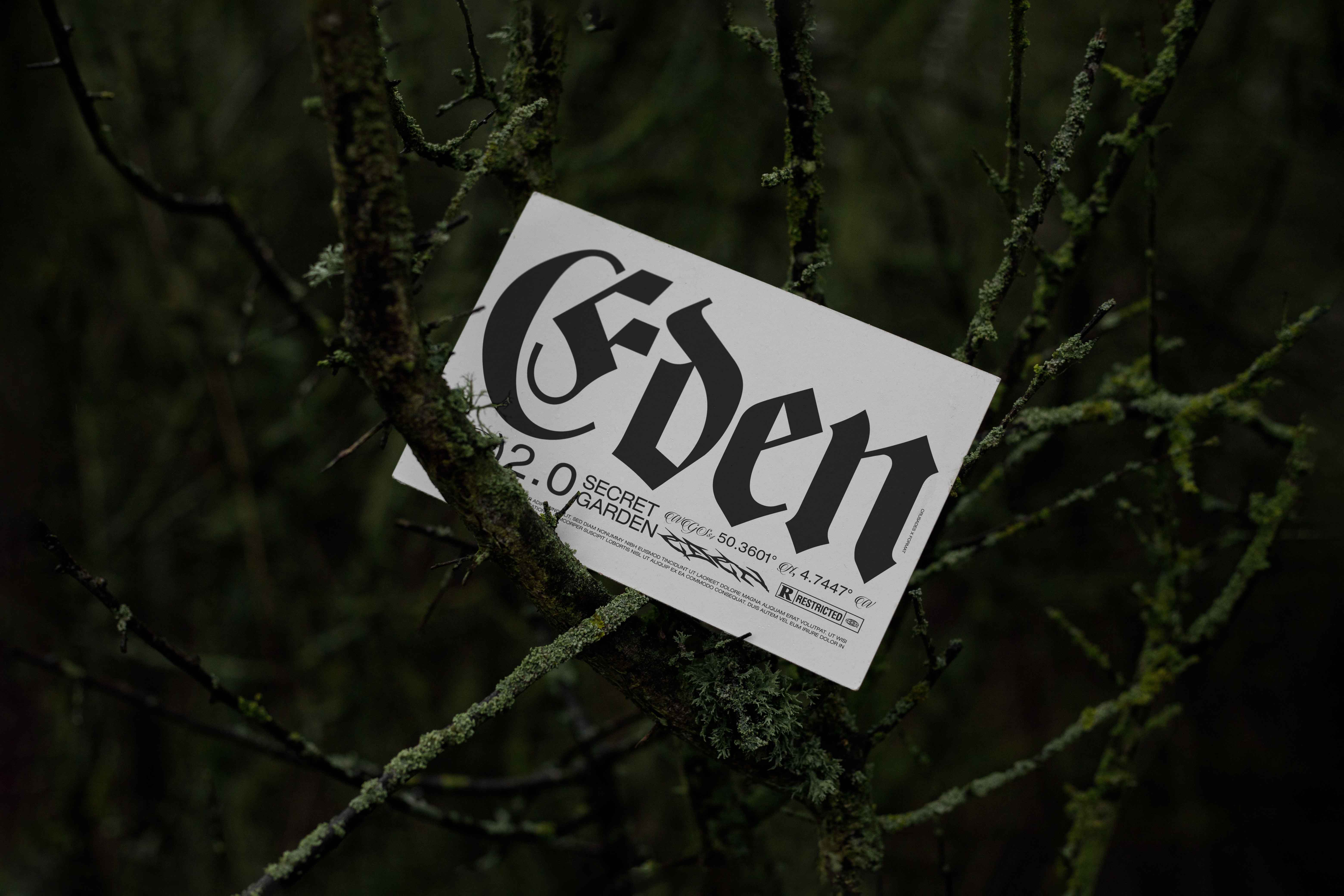 Eden Card Mockup – Organic & Premium Nature-Inspired Design – 6TM® Magazine