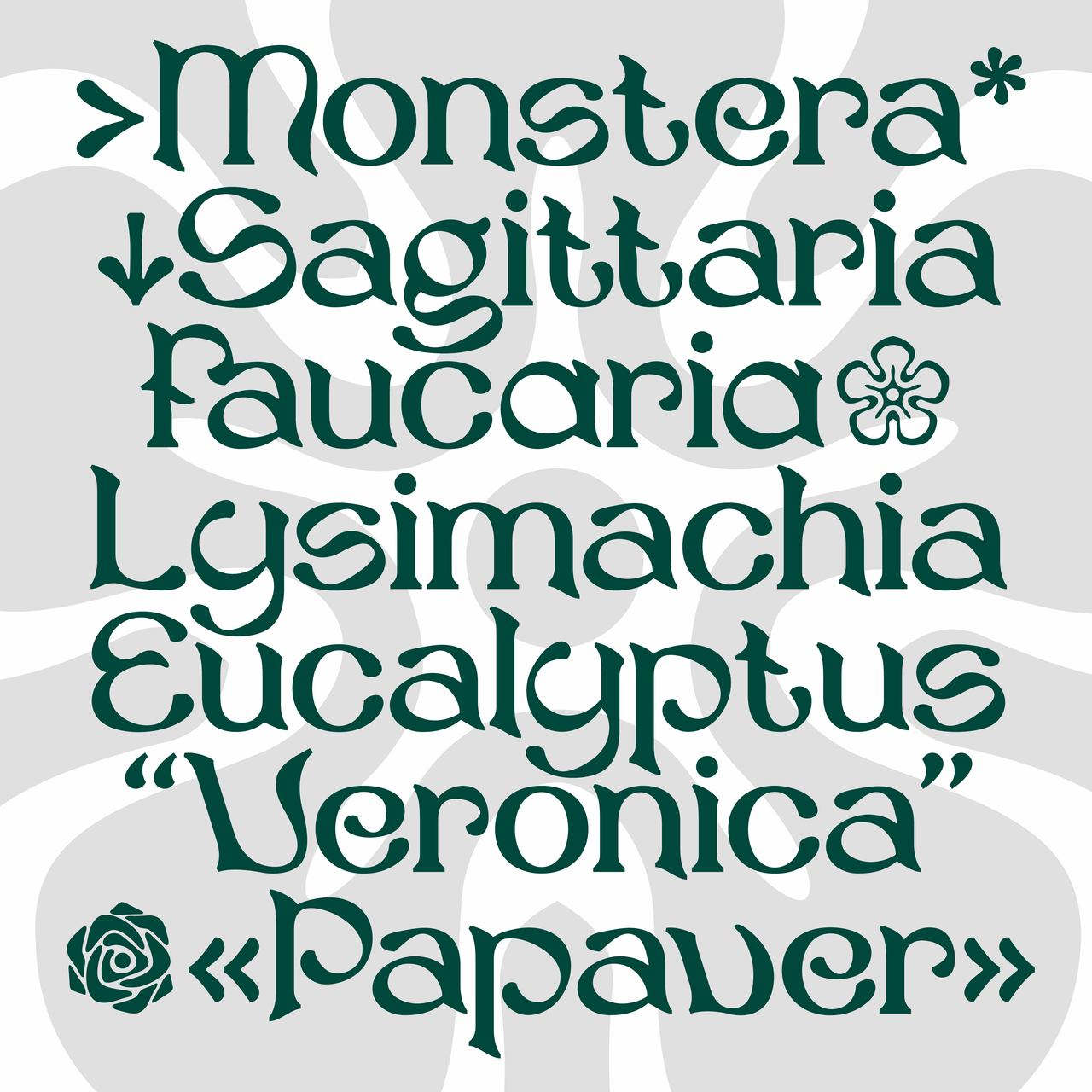 FYE Font – Experimental Typeface Inspired by Butterfly Wing Patterns ...